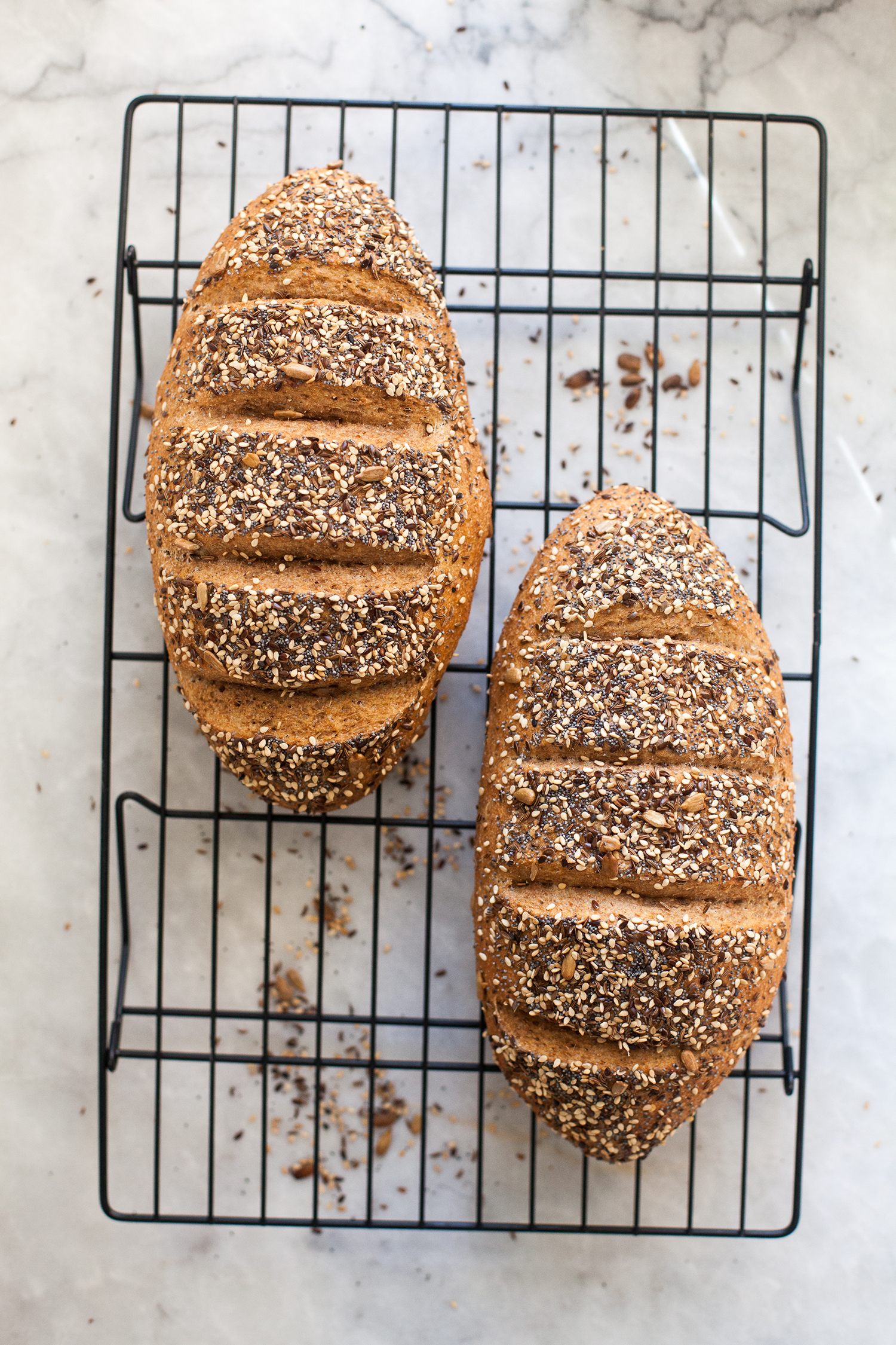 Master Dough - No Knead Whole Wheat Bread recipe tutorial