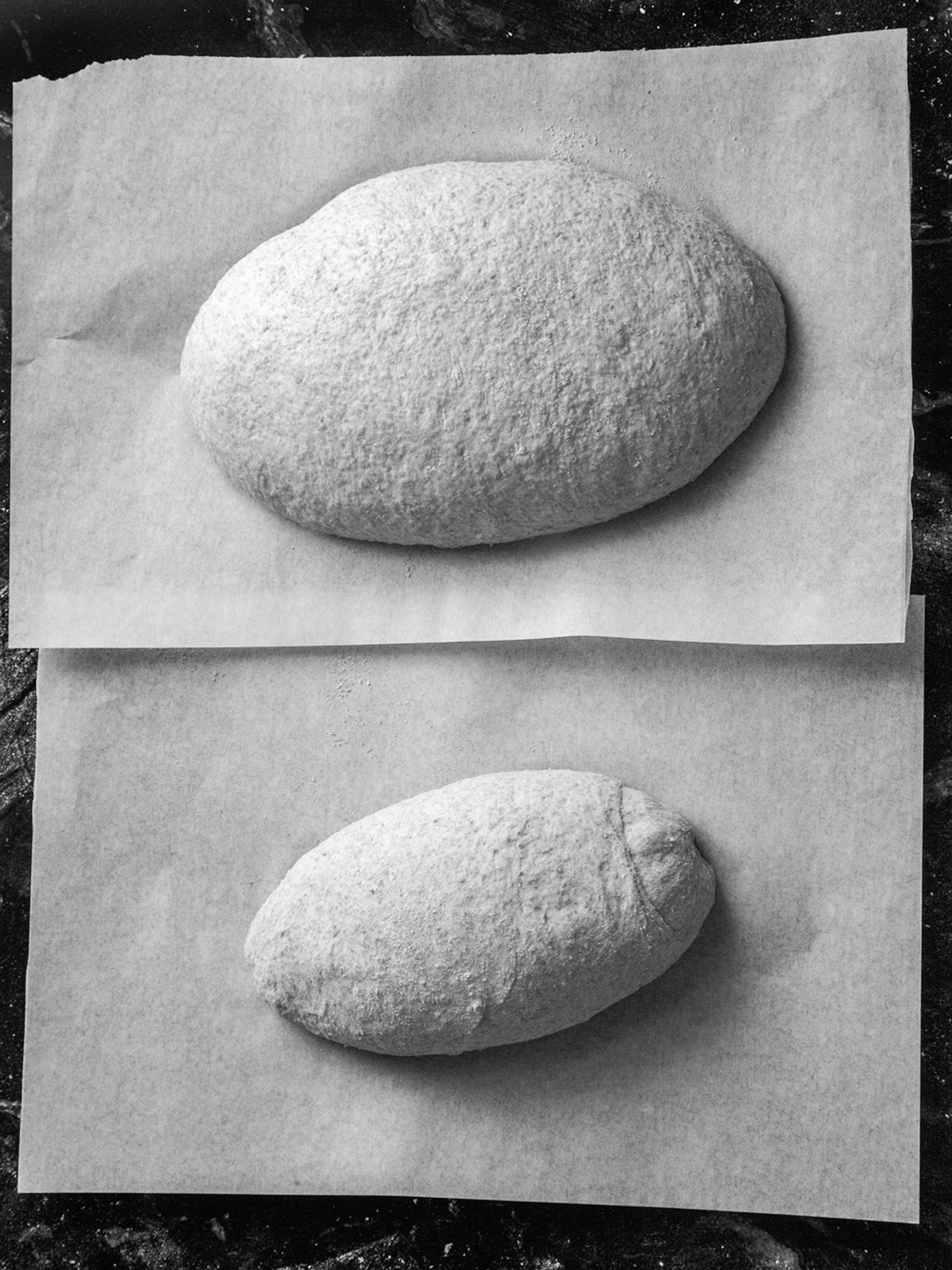 Master Dough - No Knead Whole Wheat Bread recipe tutorial