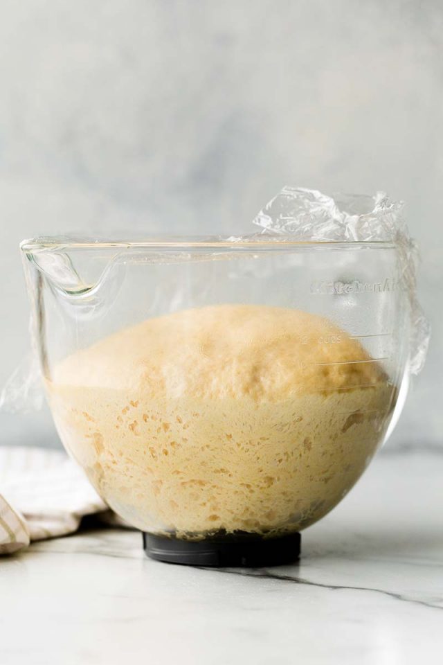 Apple Cinnamon Babka Recipe | Red Star® Yeast